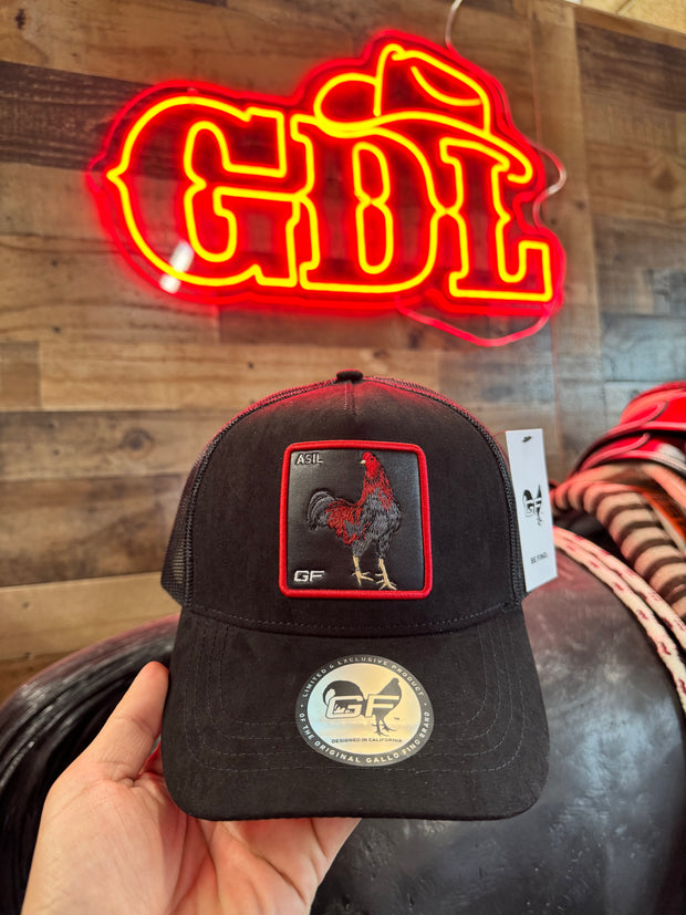 Caps – Tagged "Gallo Fino Brand"– Guadalajara Western Wear