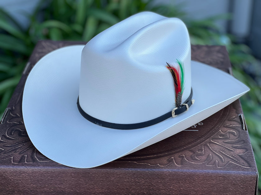 10,000x Sombrero Copa Chica 4.5" Falda 4" Horma Sinaloa (Toquilla Aves ...